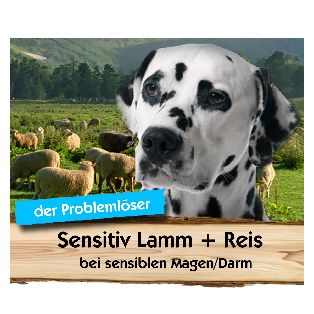 Sensitiv Lamm + Reis | Max-Hamster