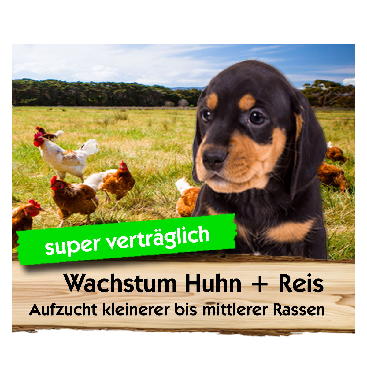 Wachstum Huhn + Reis Max Hamster | natürlich und gesund